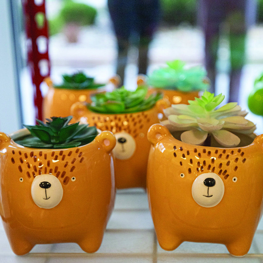 Paint Your Own Pottery Meridian Idaho | The Hot Spot Studios